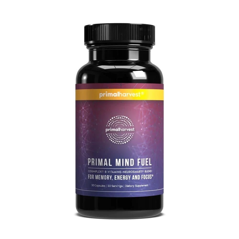 Top 5 Best Memory Supplements for 2023 - Health-Guide.com